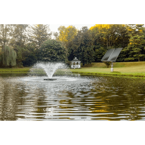 Pond Dye Colors: Expert Guide – Pond Haven